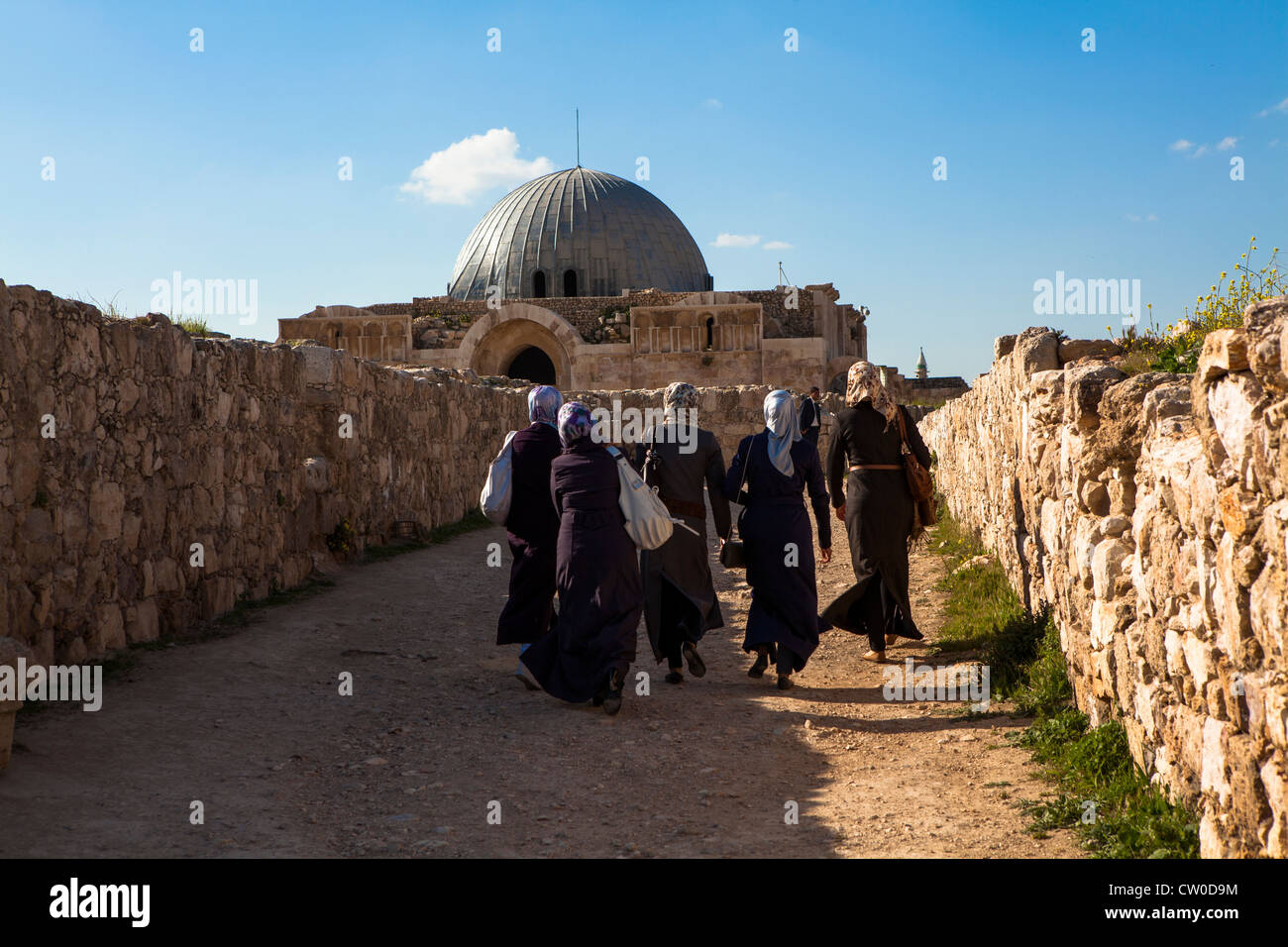 Citadel Amman Jordan Stock Photo - Alamy