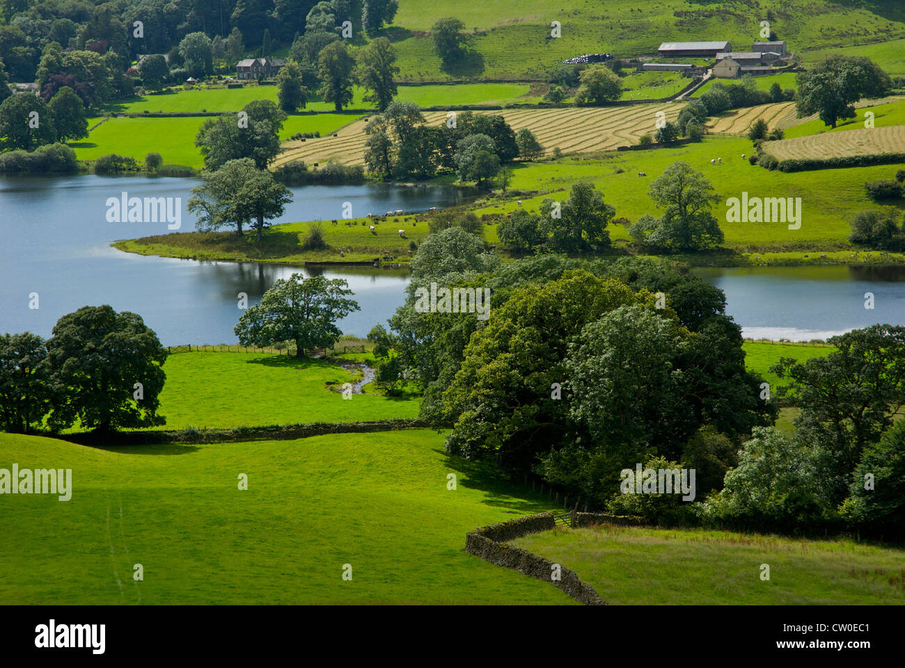 Esthwaite Water, South Lakeland, Lake District National Park, Cumbria ...