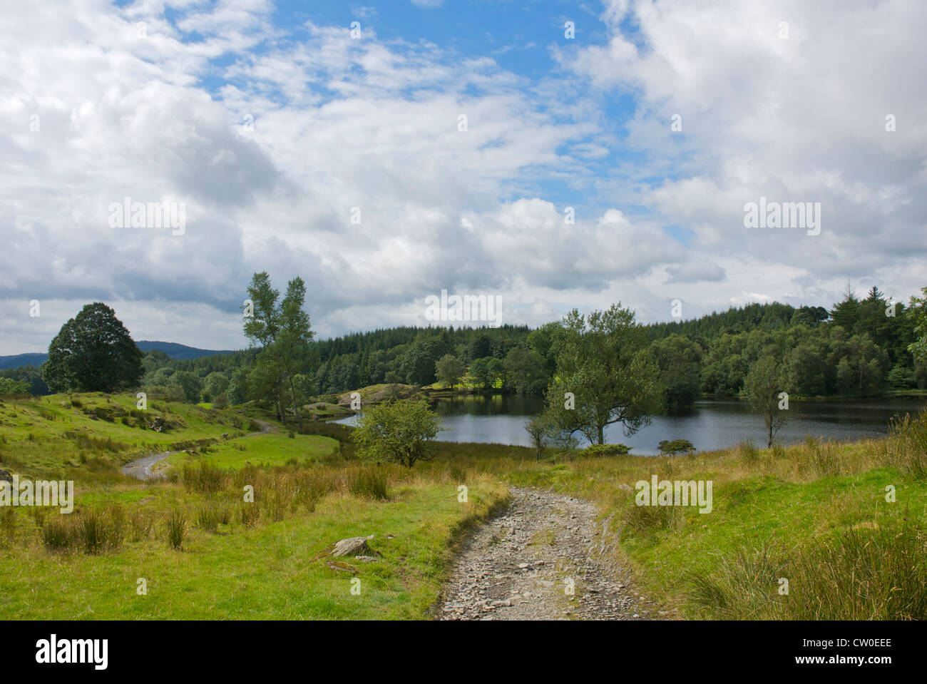 Moss Eccles Tarn, on Claife Heights, South Lakeland, Lake District ...
