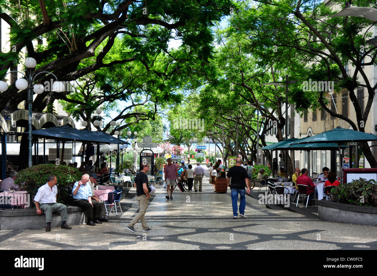 Portugal - Madeira island - Funchal town - typical shady mosaic avenue ...