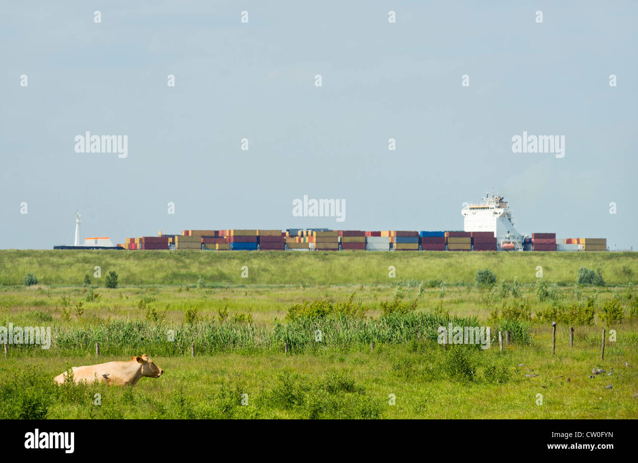 Transporting cattle container hi-res stock photography and images - Alamy