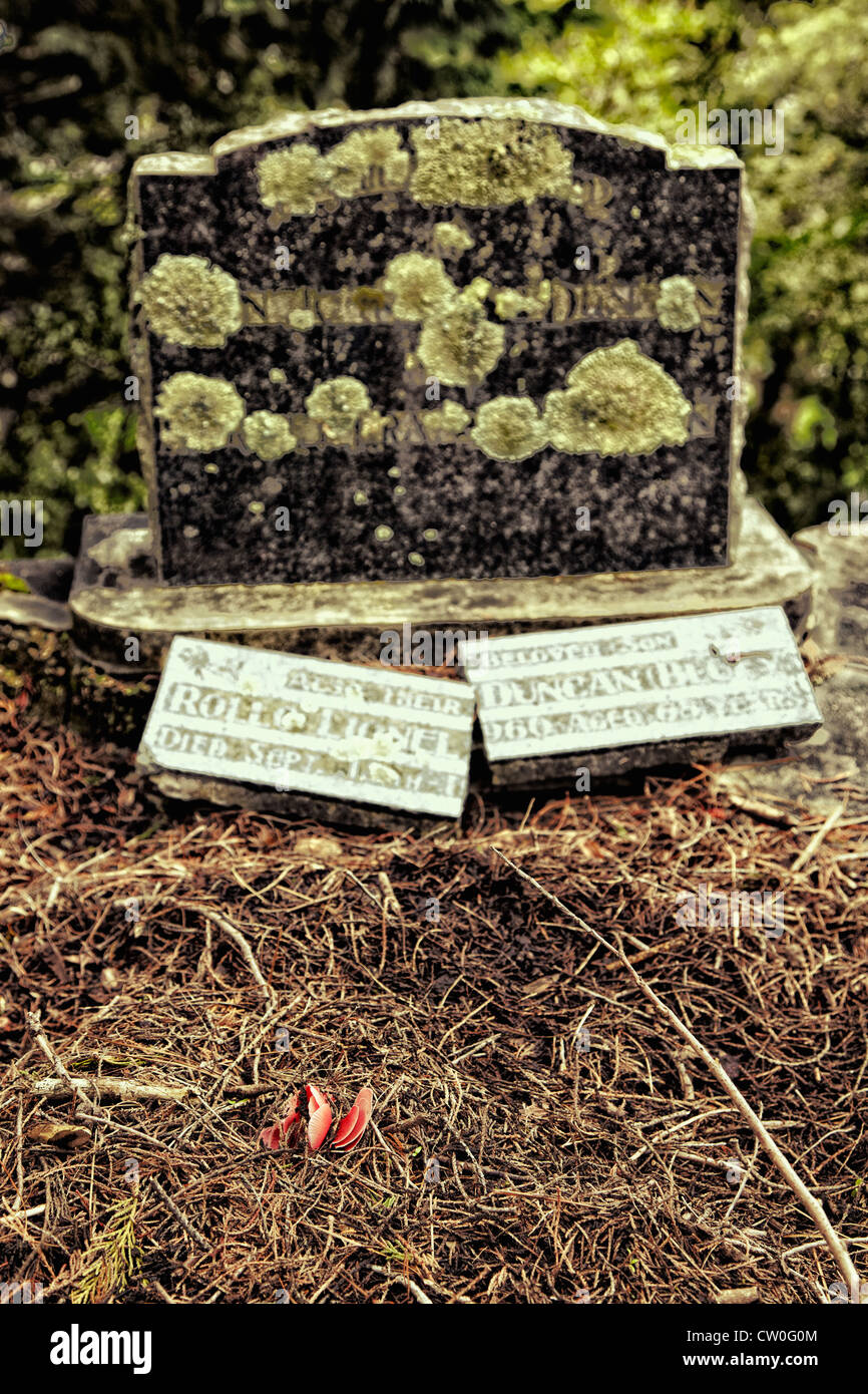 neglected grave with a broken headstone Stock Photo - Alamy