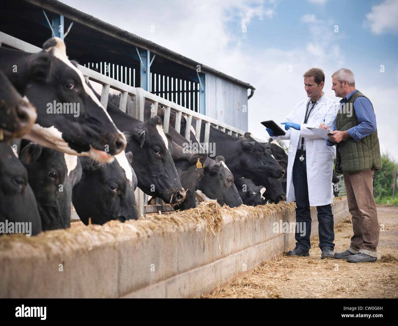 Men talking together at a conference hi-res stock photography and ...