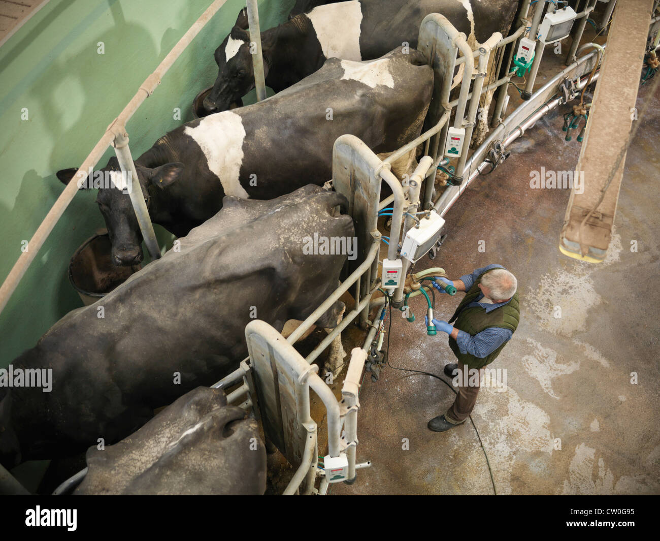 Rotary milking hi-res stock photography and images - Alamy