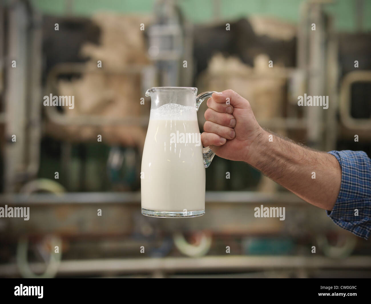 Milking By Hand High Resolution Stock Photography and Images - Alamy