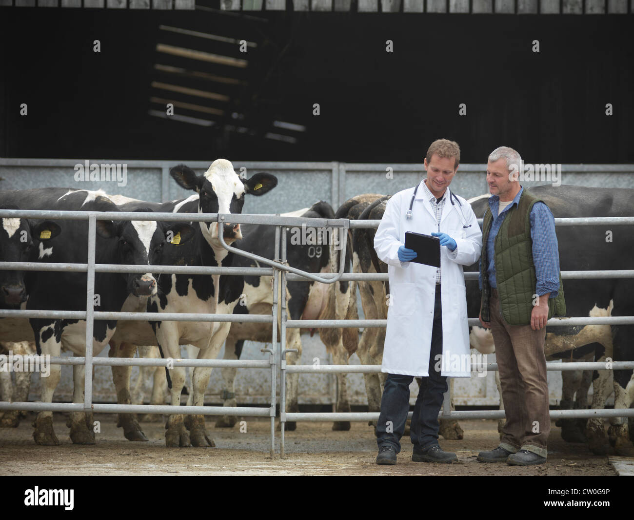 Talking with the animals hi-res stock photography and images - Alamy