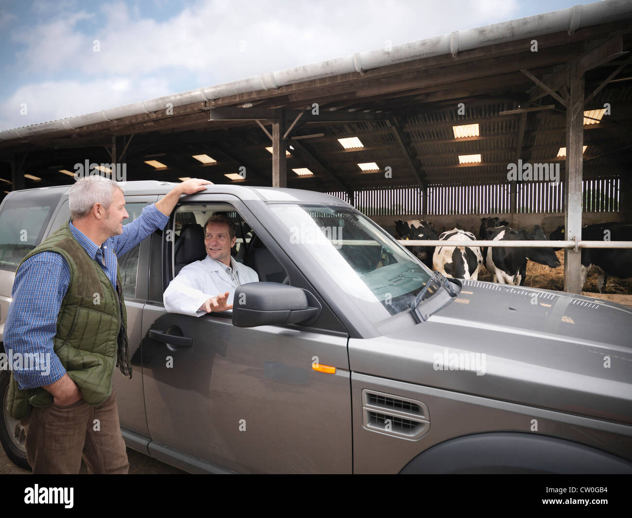 Car farmer cow hi-res stock photography and images - Alamy