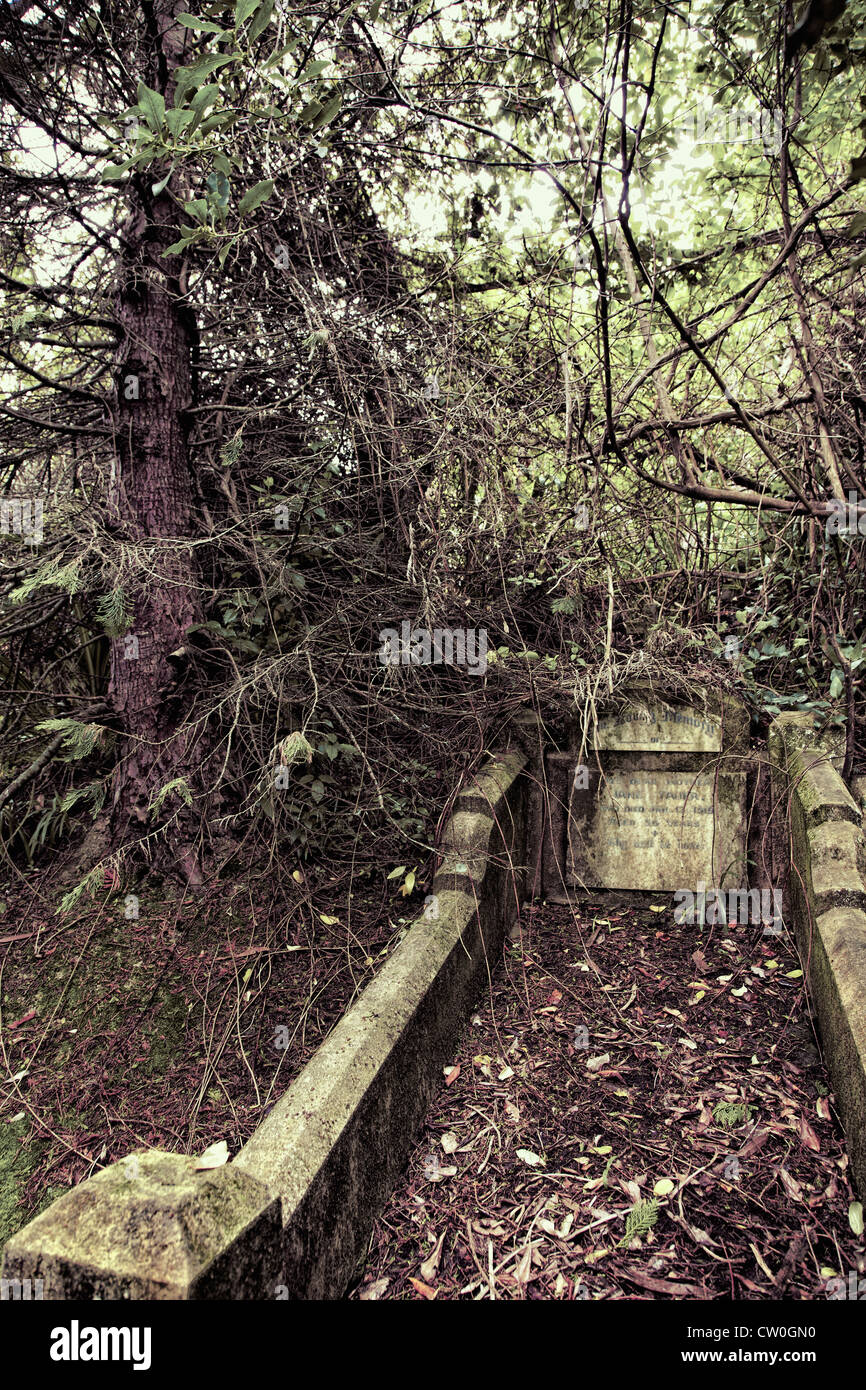 Overgrown grave hi-res stock photography and images - Alamy