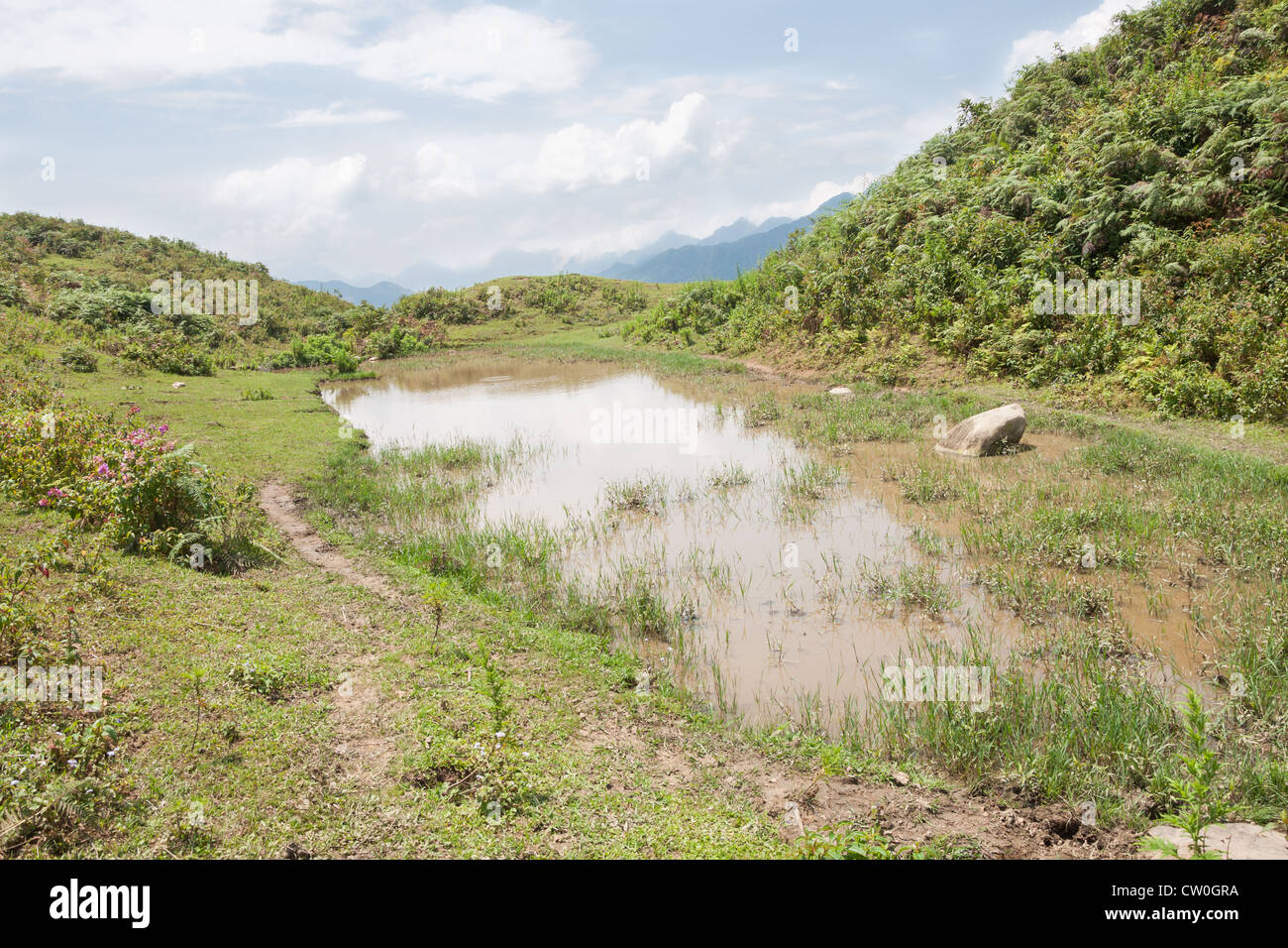 Steep pond slope hi-res stock photography and images - Alamy