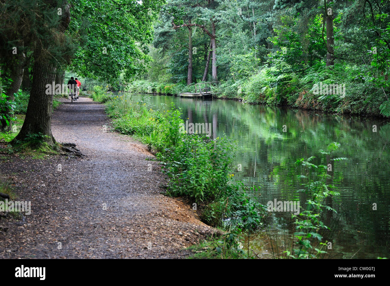 Basingstoke canal hi-res stock photography and images - Alamy