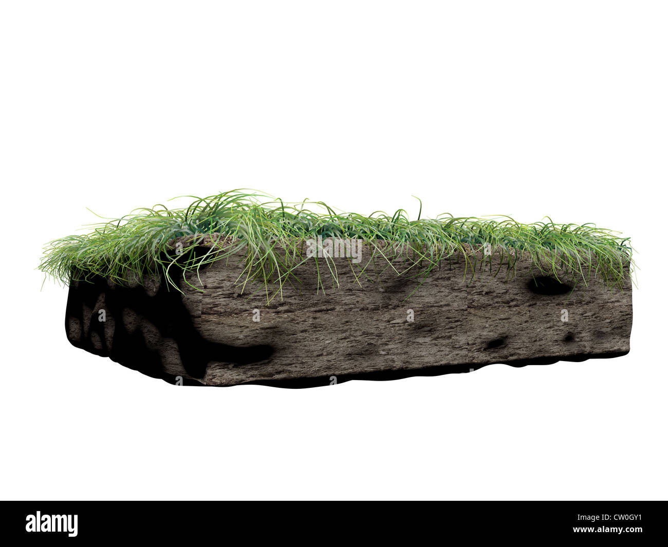 soil section isolated on white background Stock Photo - Alamy