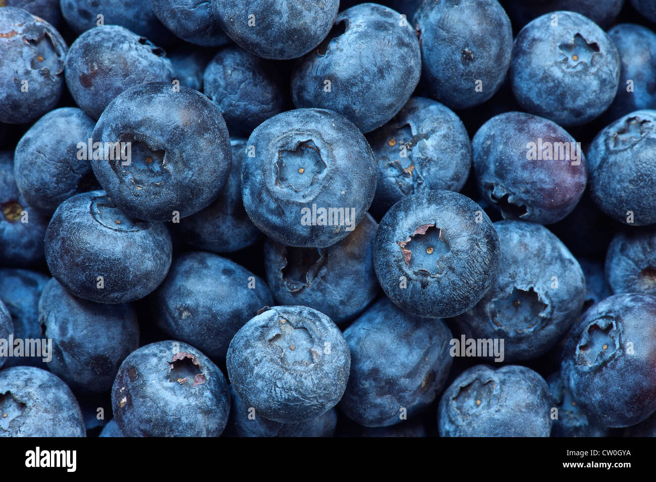 Blueberry Bunch High Resolution Stock Photography and Images - Alamy