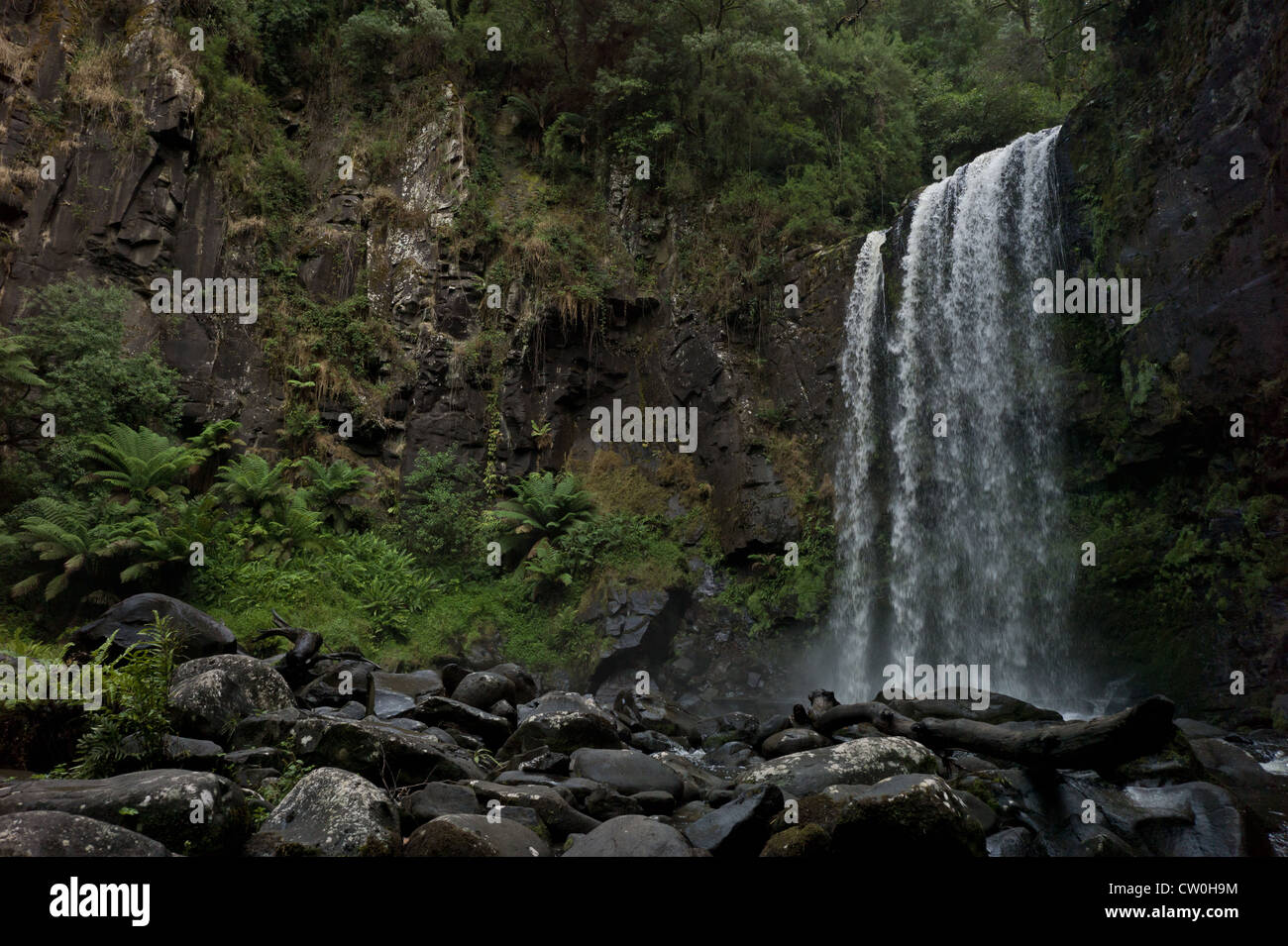 Otway Ranges National Park High Resolution Stock Photography and Images ...