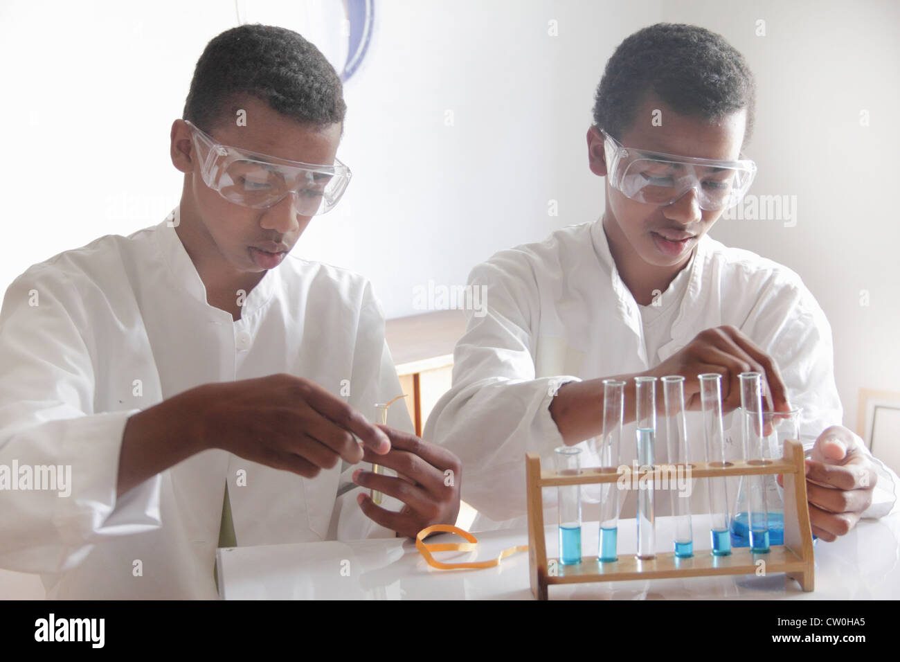 Students working in science lab Stock Photo - Alamy