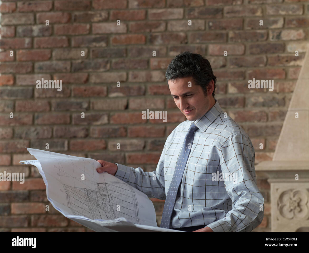 Businessman reading blueprints Stock Photo - Alamy