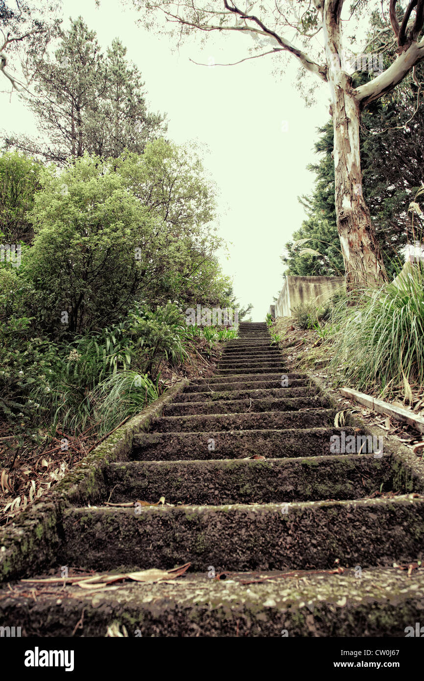 Graveyard steps hi-res stock photography and images - Alamy