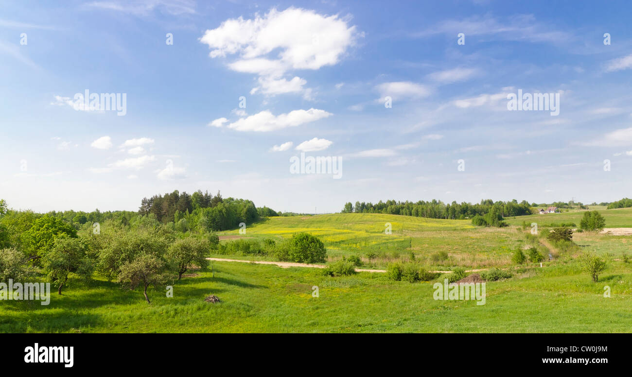 Green rural rustic field and forest summer panoramic landscape. Sunny ...