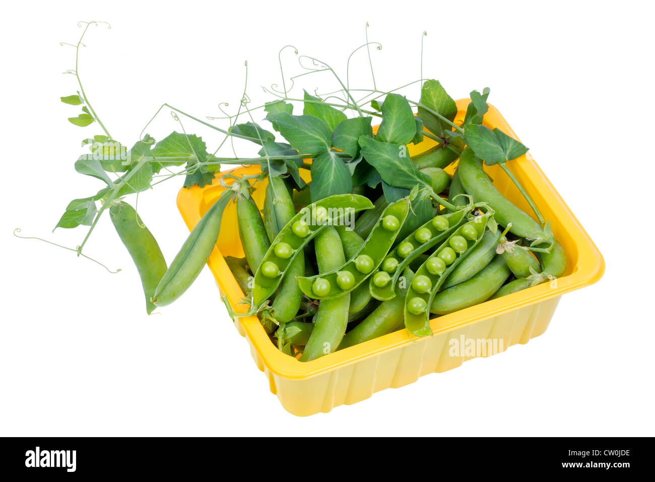 Green raw real pea in yellow plastic box container isolated Stock Photo ...