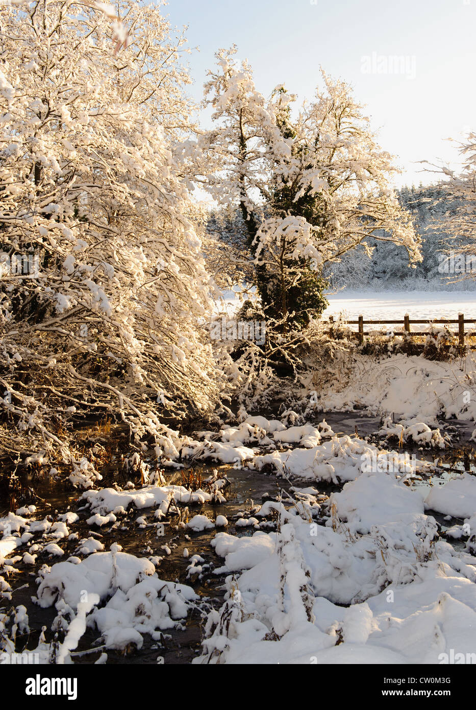 Beautiful winter day with view on a small river Stock Photo - Alamy