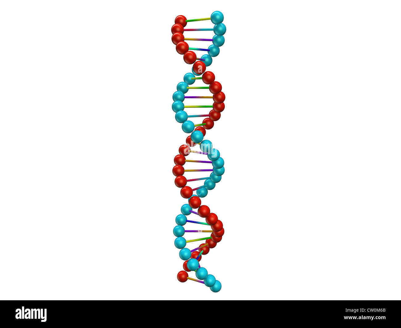Sugar chain cell hi-res stock photography and images - Alamy