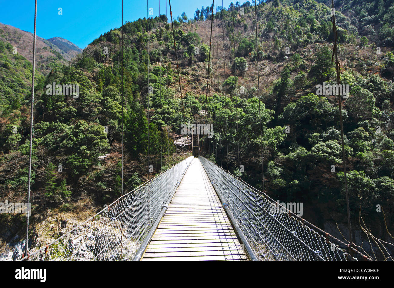Miyoshi shii hi-res stock photography and images - Alamy