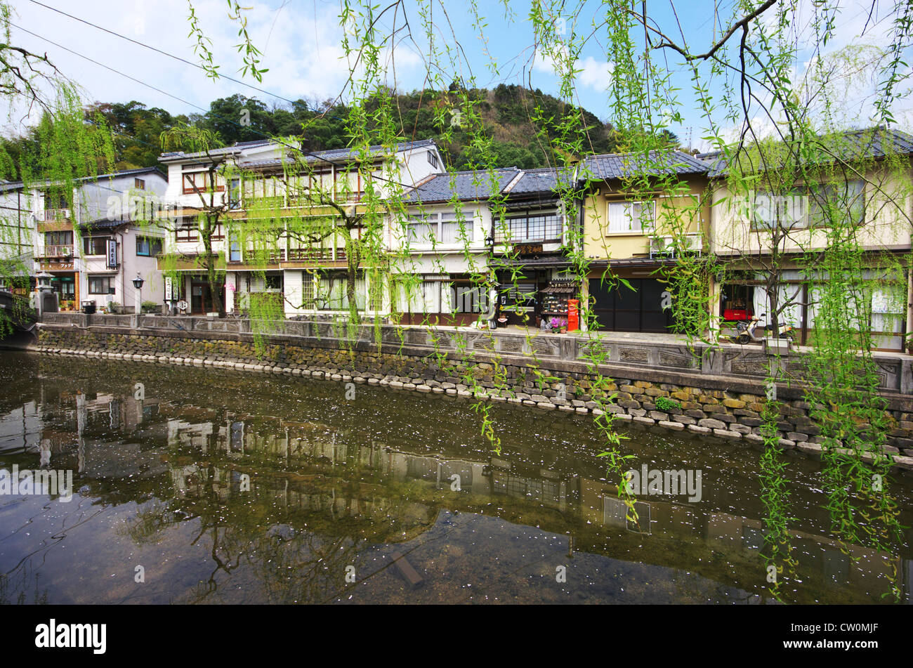 Willow Tree in Hyogo in Japan Stock Photo - Alamy