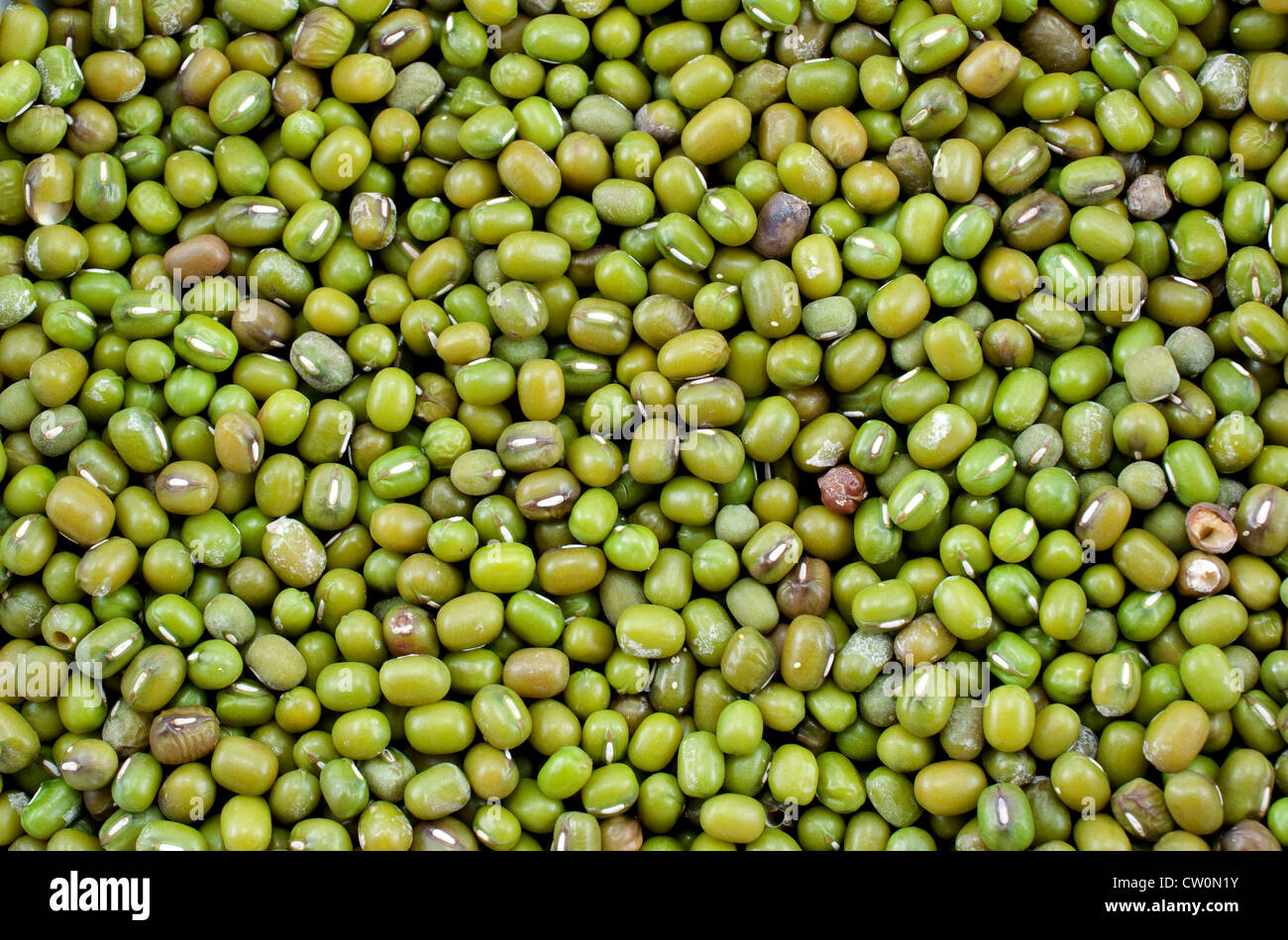 group of green nut on white background Stock Photo - Alamy