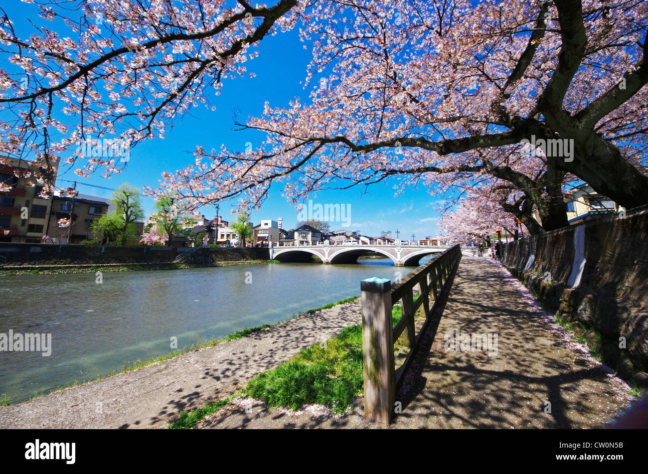 Cherry blossom in Ishikawa in Japan Stock Photo - Alamy