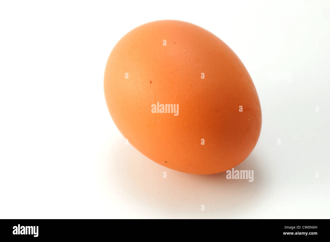 an egg on a white background Stock Photo - Alamy