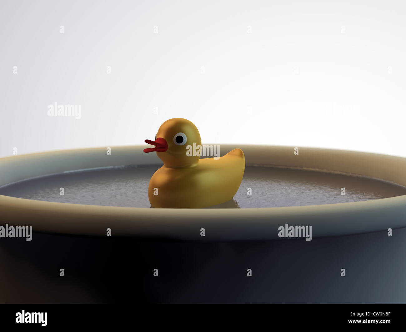 duck taking bath Stock Photo - Alamy