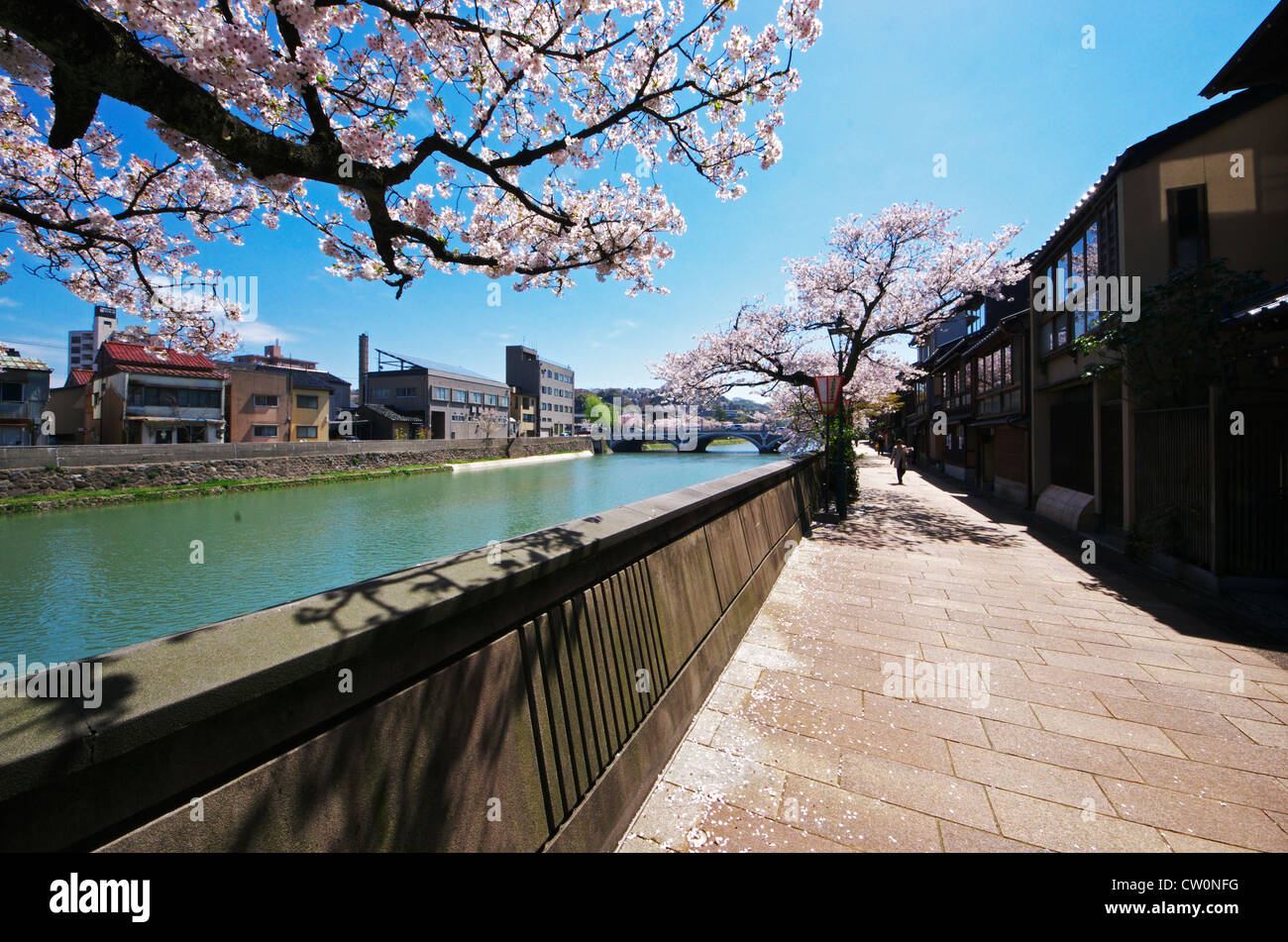 Cherry blossom in Ishikawa in Japan Stock Photo - Alamy