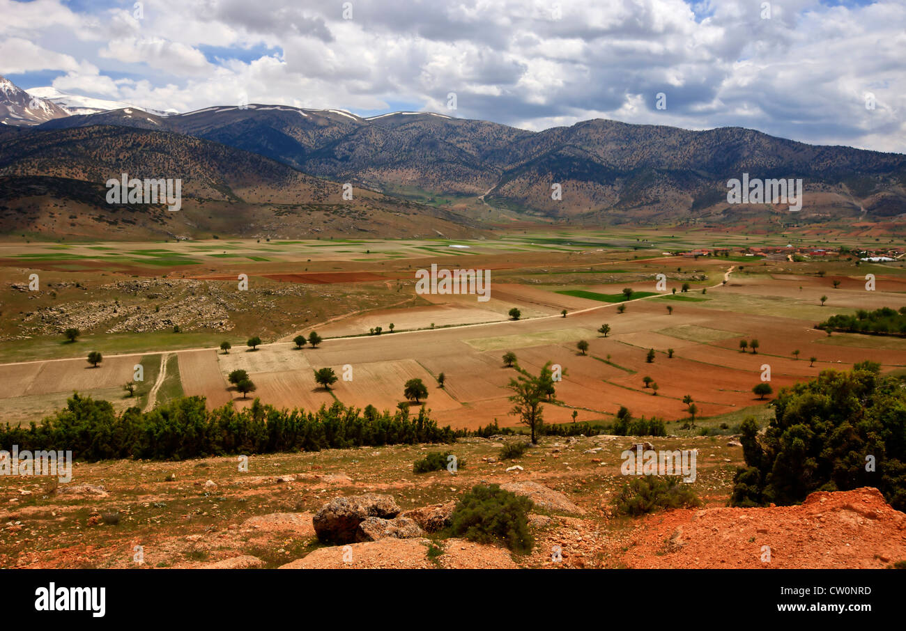 Soyle hi-res stock photography and images - Alamy