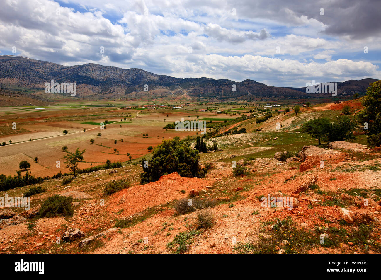 Soyle hi-res stock photography and images - Alamy