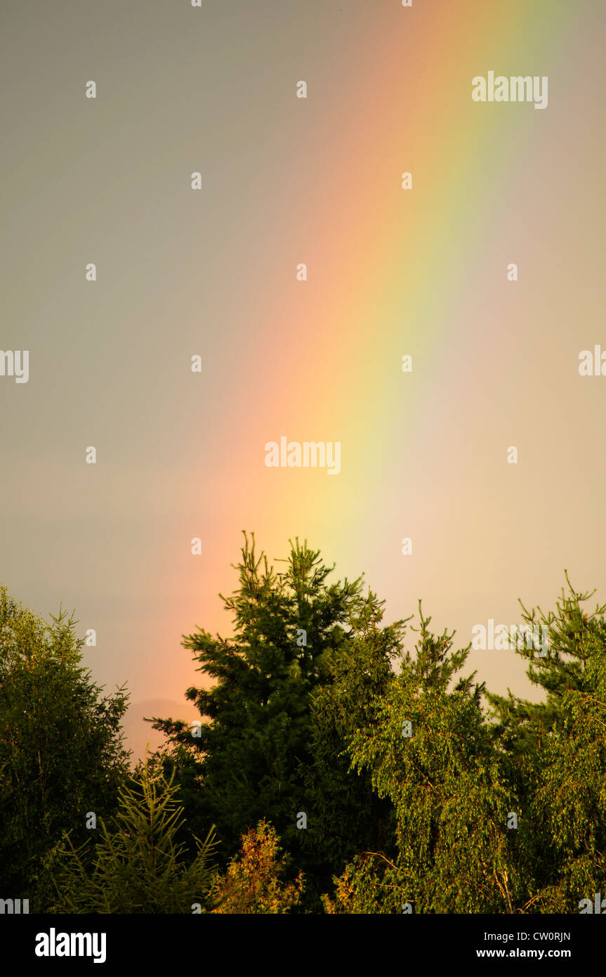 Rainbow vertical hi-res stock photography and images - Alamy