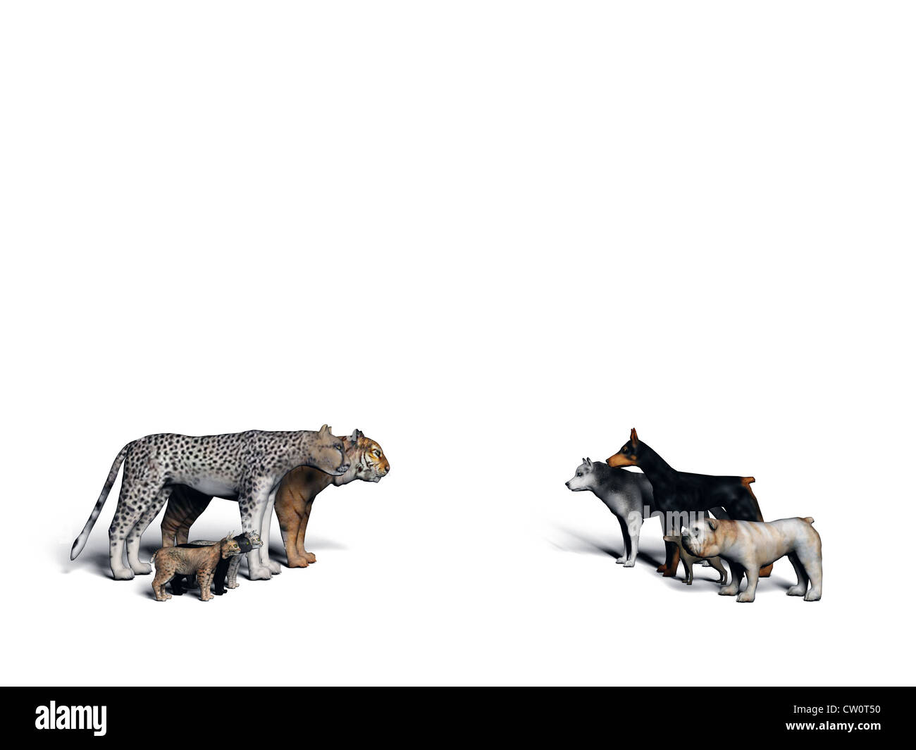 Ready fight! side view hi-res stock photography and images - Alamy