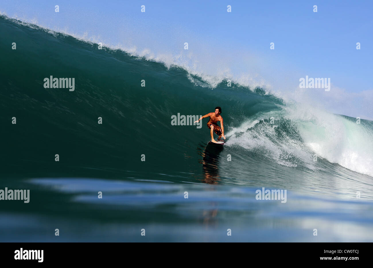 Surfer surfing a big wave at Lagundri Bay on Nias Island, North Sumatra ...