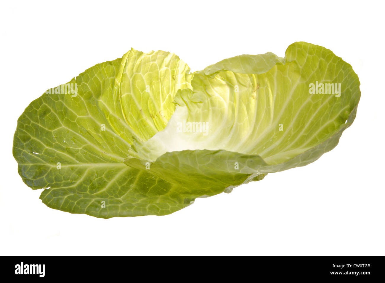 Green cabbage leaves isolated on a white background Stock Photo - Alamy