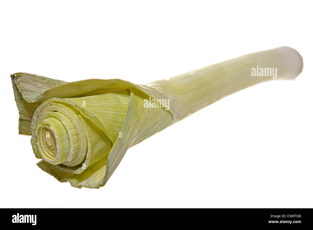 Whole leek isolated on a white background Stock Photo - Alamy