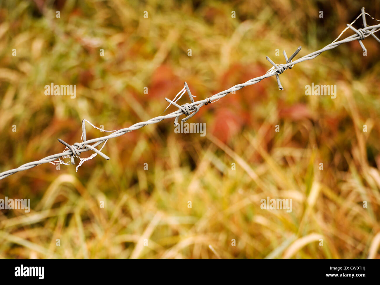 Horizontal wire hi-res stock photography and images - Alamy
