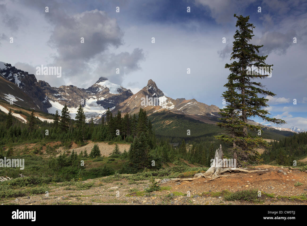 Parker ridge hi-res stock photography and images - Alamy