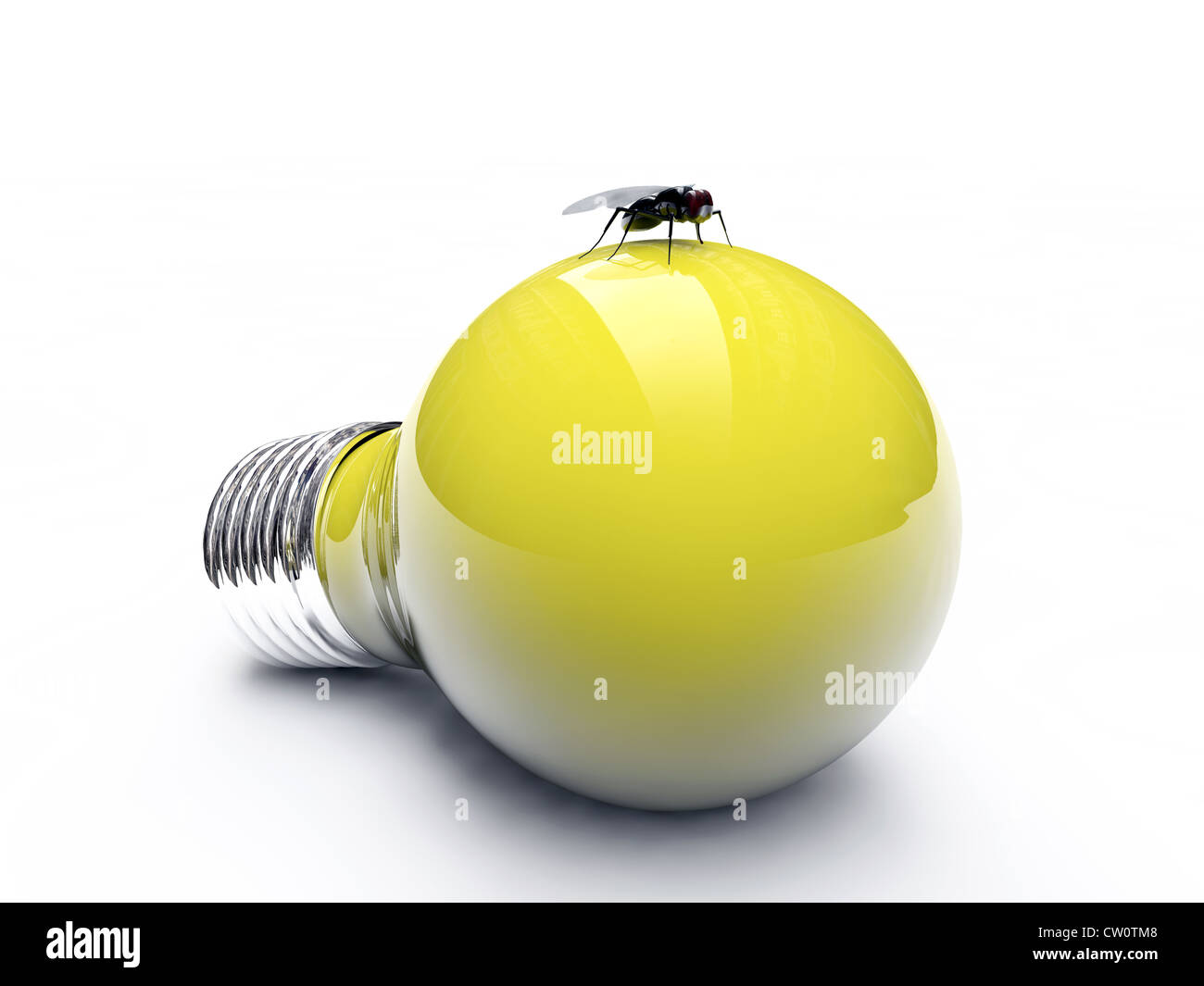 fly on a yellow bulb isolated on white background Stock Photo - Alamy