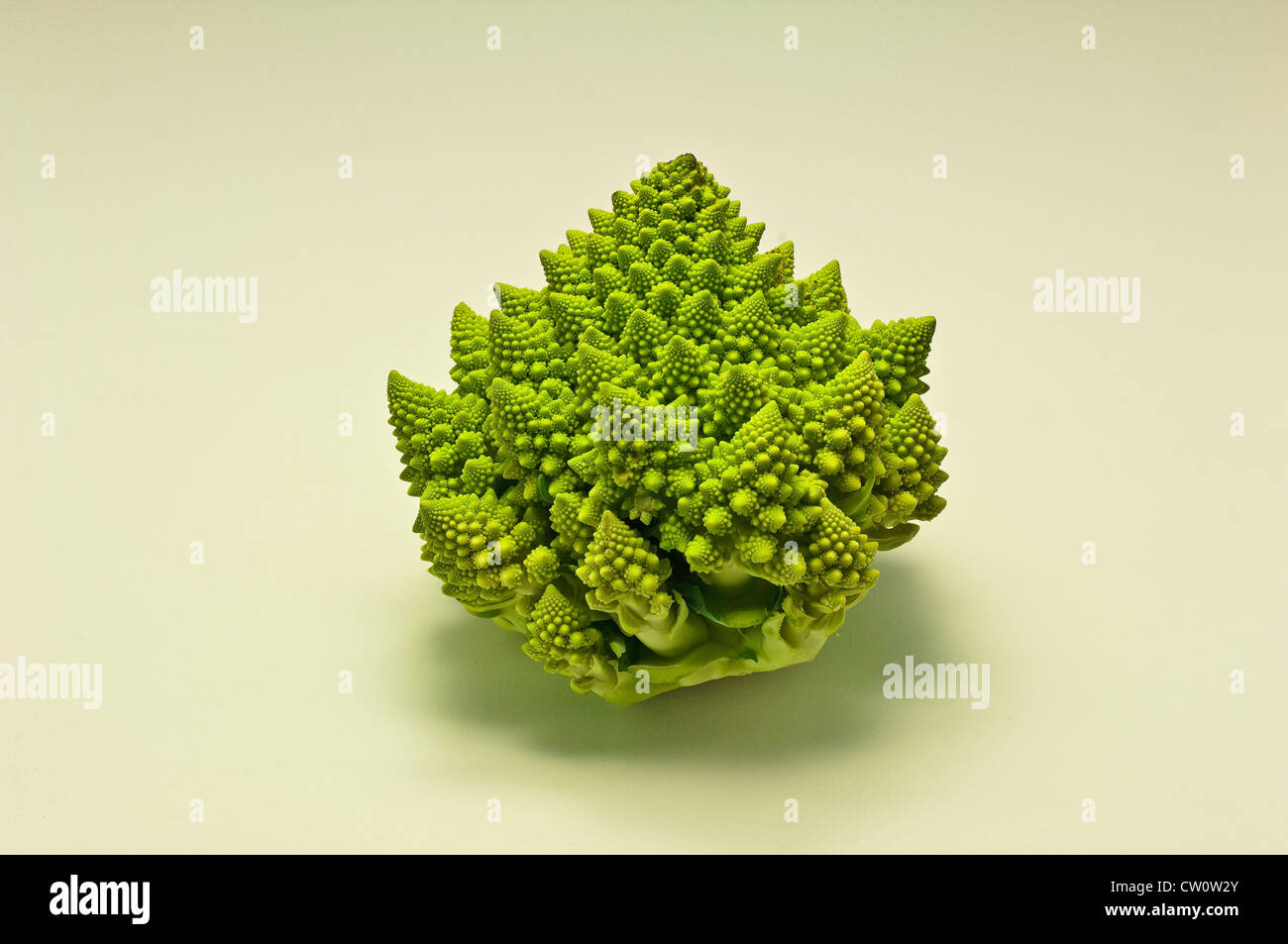 Kohl gemuse hi-res stock photography and images - Alamy