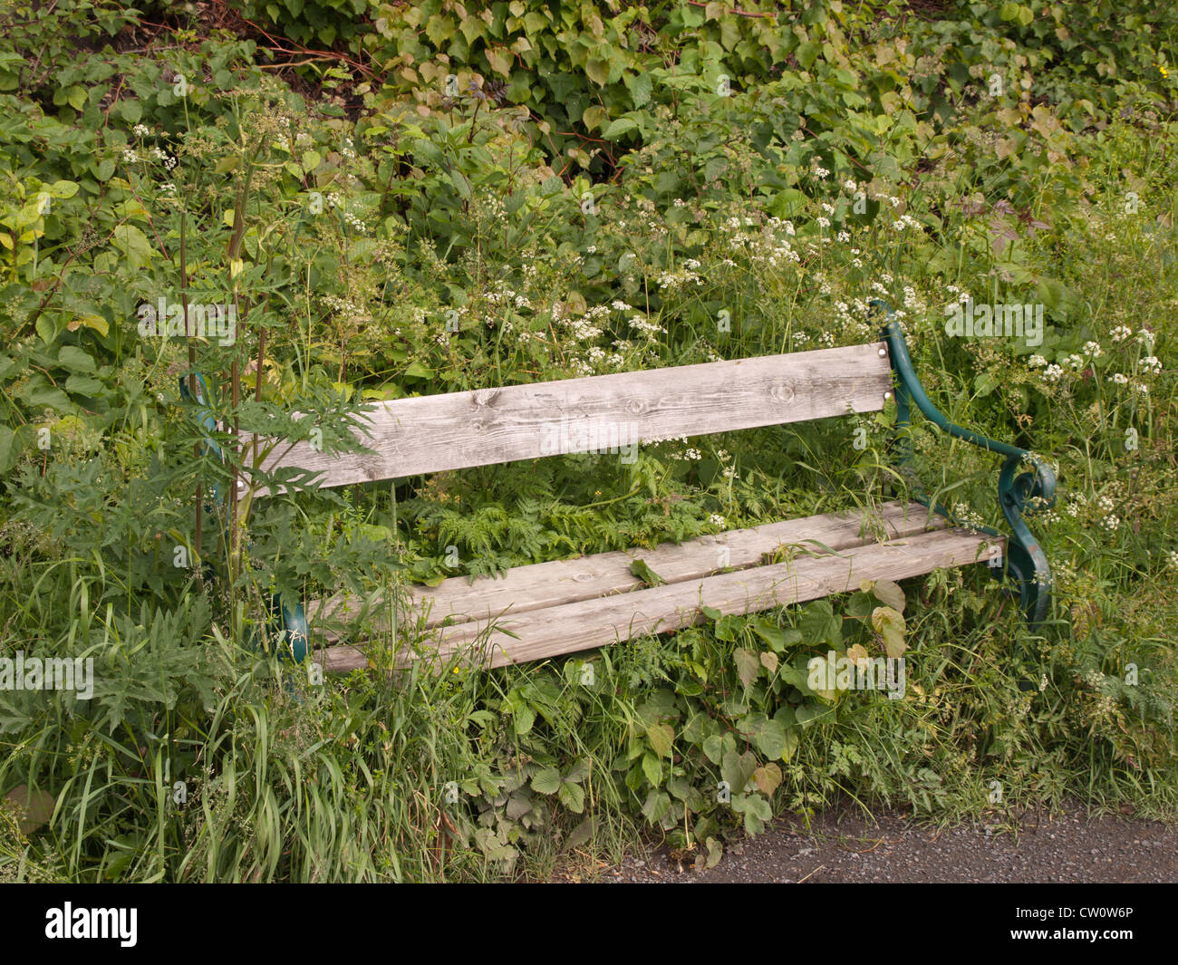Overgrown park bench in Oslo Norway Stock Photo - Alamy