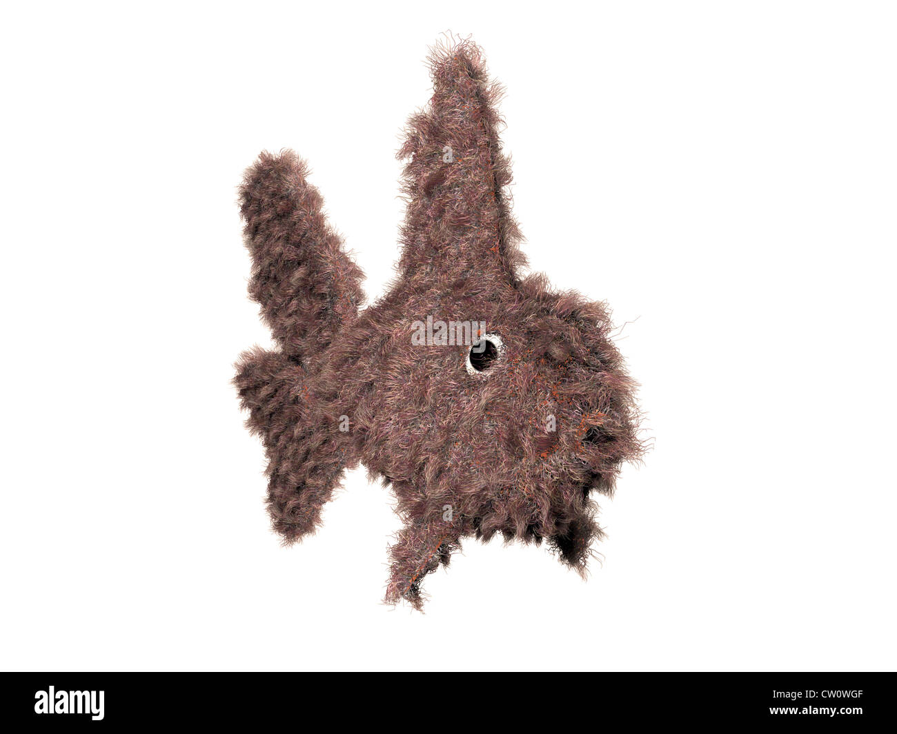 fur fish isolated on white background Stock Photo - Alamy