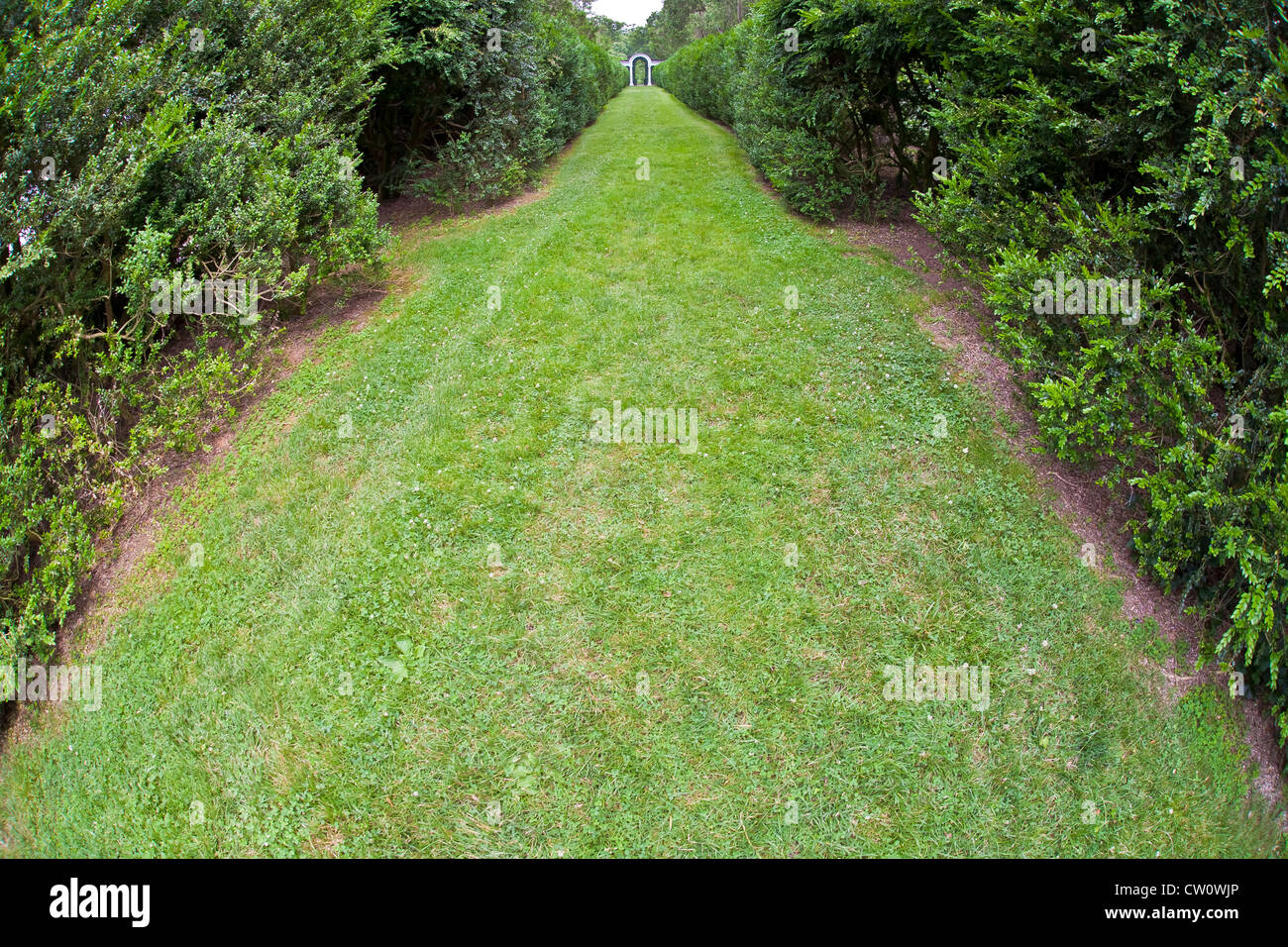 Curved hedges hi-res stock photography and images - Alamy