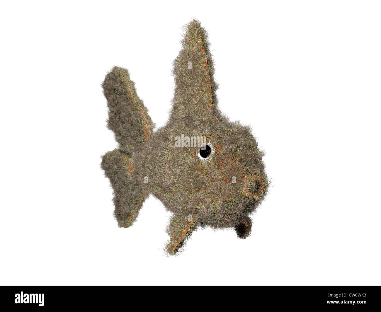 fur fish isolated on white background Stock Photo - Alamy
