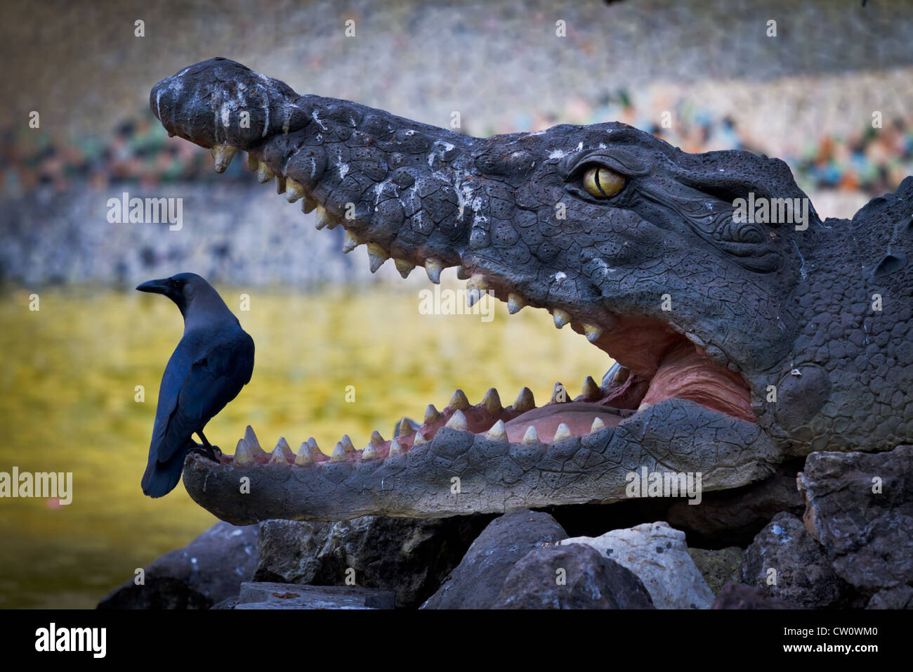 Raven on statue hi-res stock photography and images - Alamy