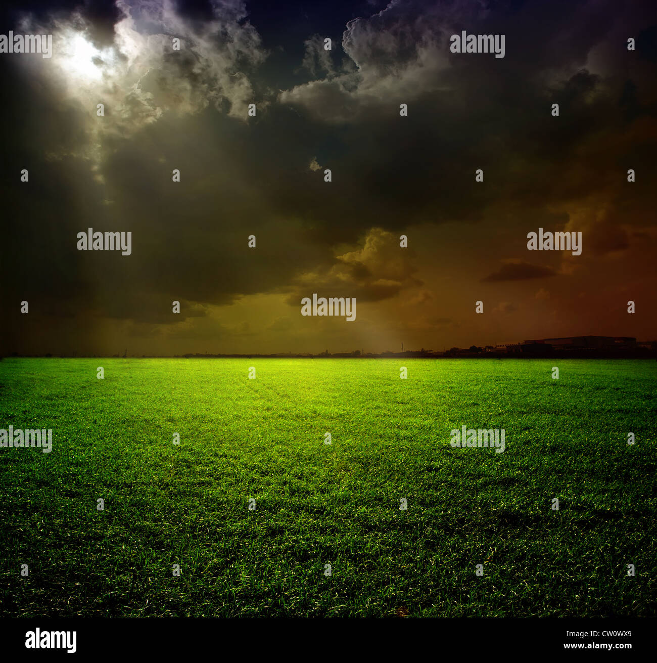 field of spring grass and sunset Stock Photo - Alamy