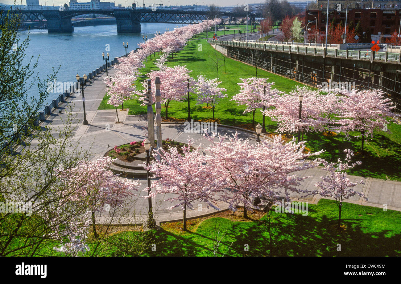 Tom Mccall Waterfront Park