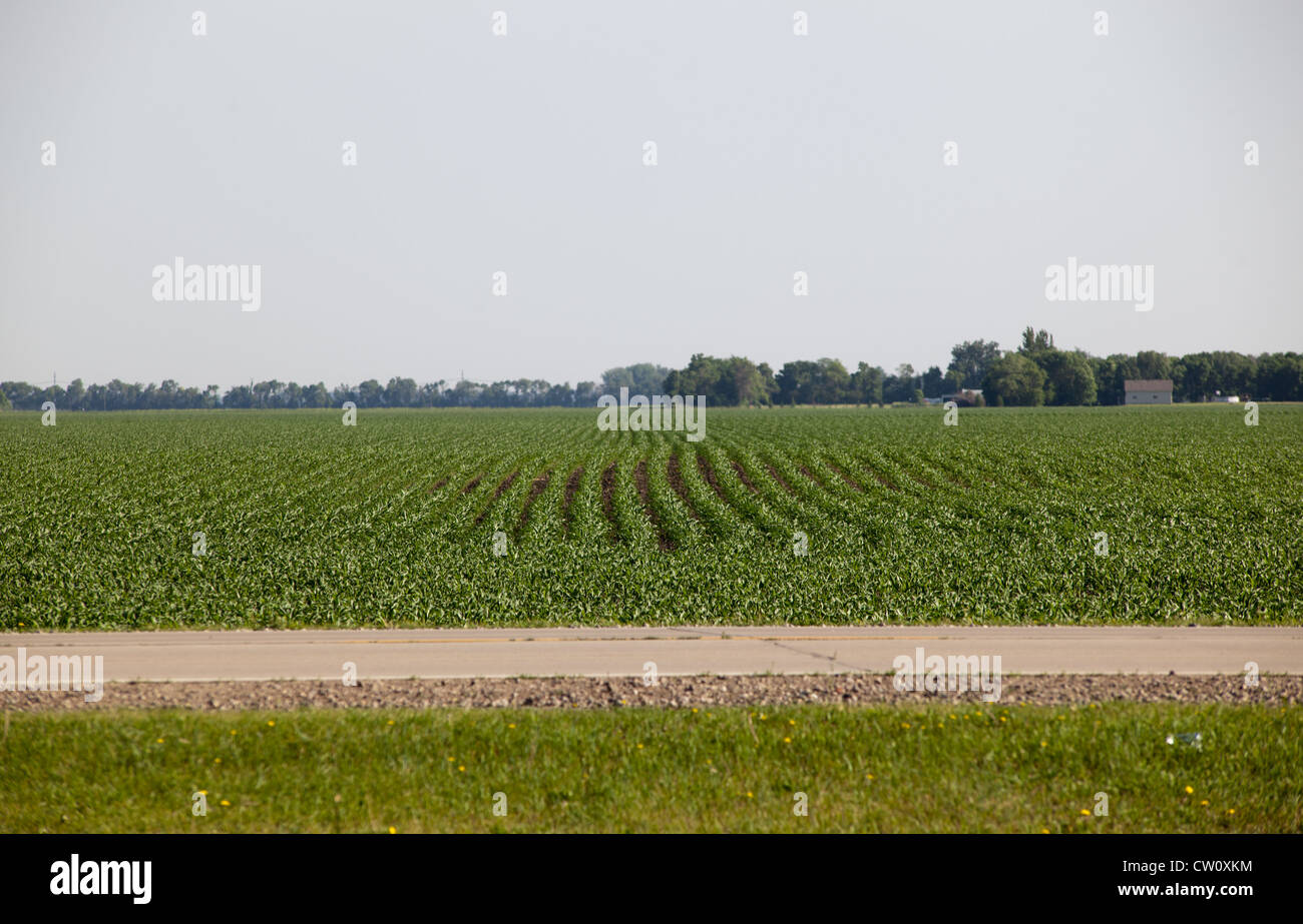 Rowcrop hi-res stock photography and images - Alamy